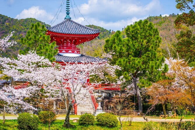 Customizable Kyoto World Heritage Tour Full Day - The Sum Up