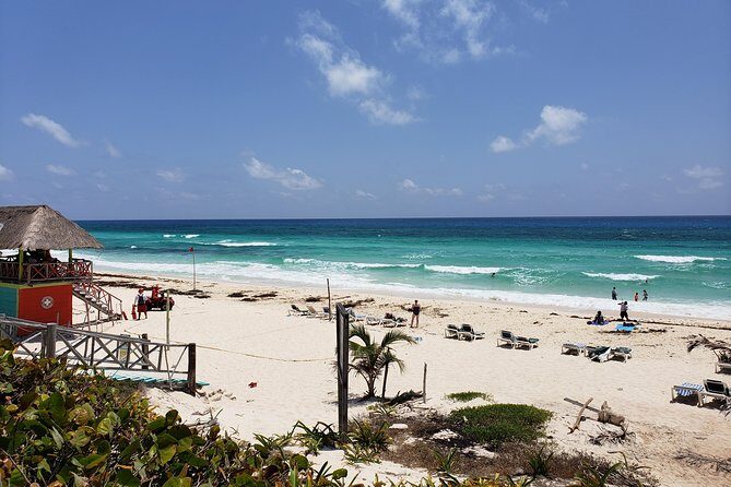 Customizable Private Buggy Tour in Cozumel with Lunch and Snorkel - Practical Details & What You Get