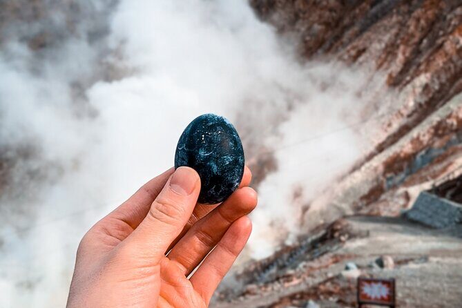 Customizable Private Full Day Hakone Tour by car - FAQs