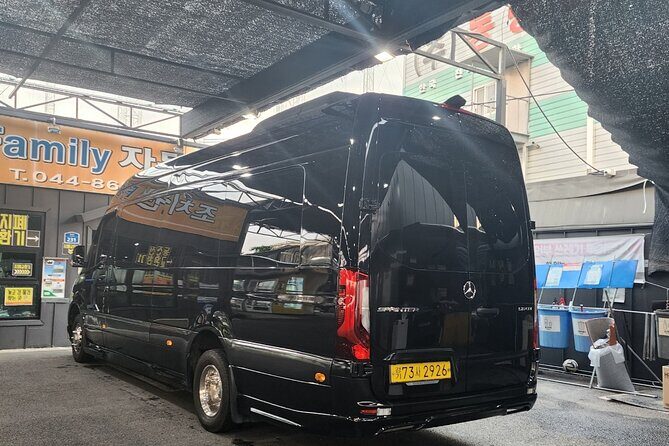 Customizable Private Seoul Tour in luxury van for VIP - Final Thoughts