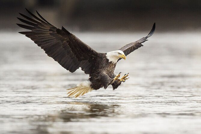 Customizable Private Tour in Ketchikan with Pick Up - Exploring the Itinerary in Detail