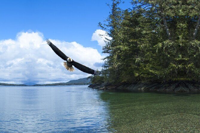 Customizable Private Tour in Ketchikan with Pick Up - FAQ