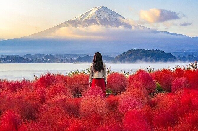 Customizable Private Tour in Mt Fuji from Tokyo by Car or Van - FAQs