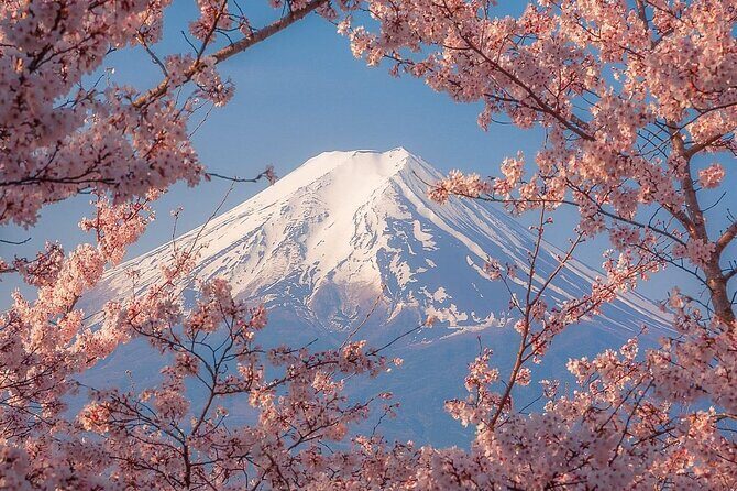 Customizable Private Tour in Mt Fuji from Tokyo by Car or Van - Final Thoughts