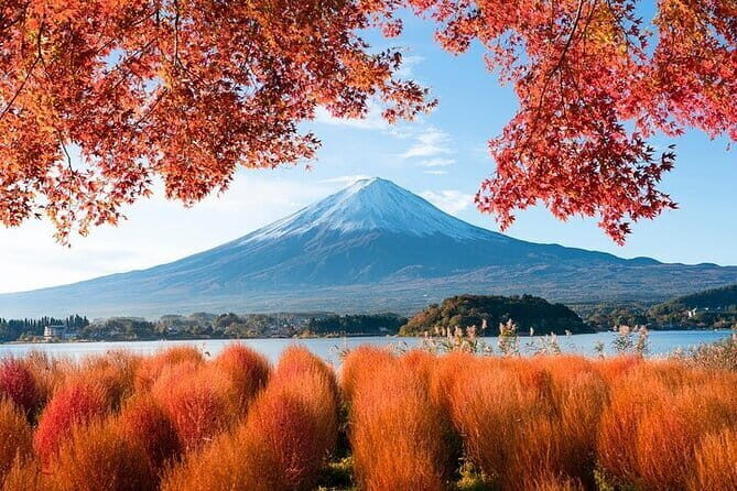 Customizable Private Tour in Mt. Fuji with Private Driver - Key Points