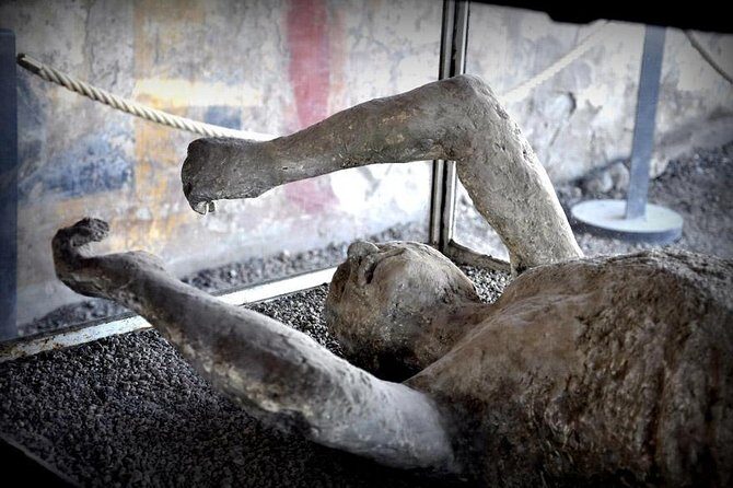 Customizable Private Tour of Herculaneum & Pompeii - Key Points