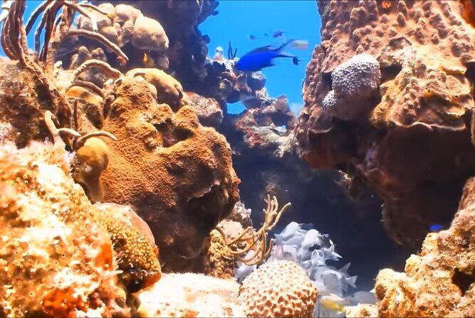 Customize Snorkeling with Option shopping Lunch & Stop local food - The Itinerary: A Closer Look