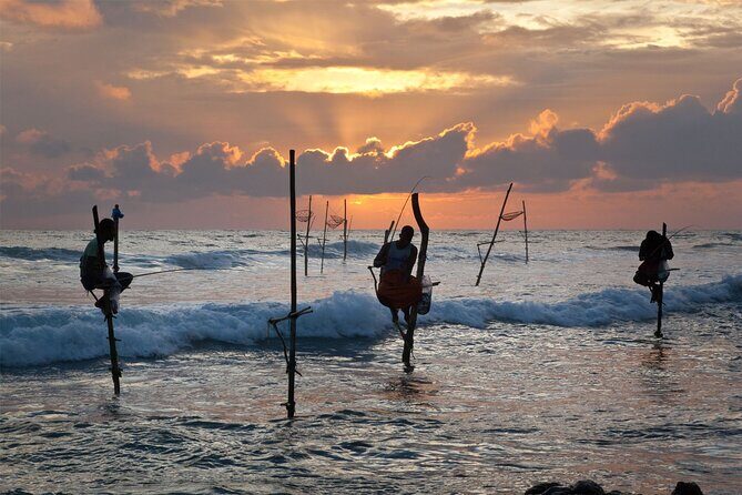 Customized 11-Day Flexible Sri Lanka Tour with Private Car - Final Thoughts