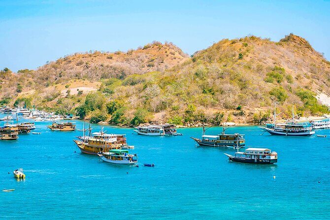 Customized 12 Days Indonesia Family Tour from Jakarta - FAQ