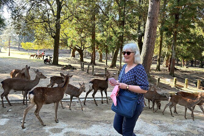 Customized 7-Day Best Japan Tour from Tokyo, Private Guide - FAQ