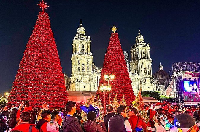 Customized 8 Days Escorted Mexico Family Tour - Who Will Love This Tour?