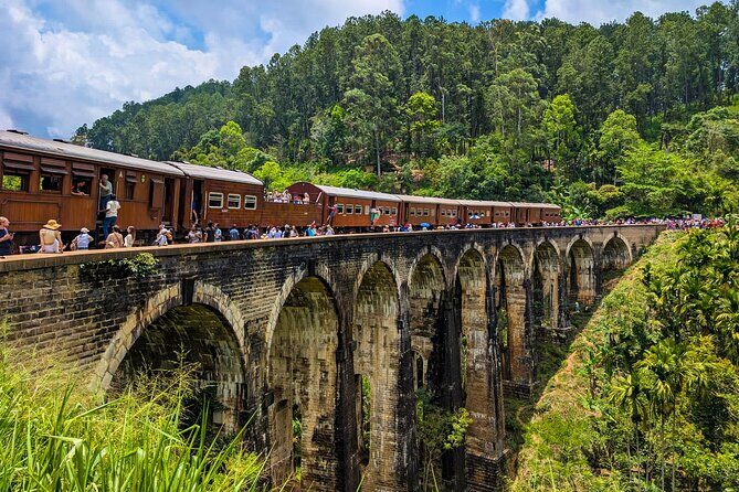 Customized Multi-Day Private Tour Packages in Sri Lanka - Complete Breakdown of the Tour Experience