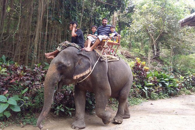 Customized Phuket Tours with Private Driver - What Travelers Say