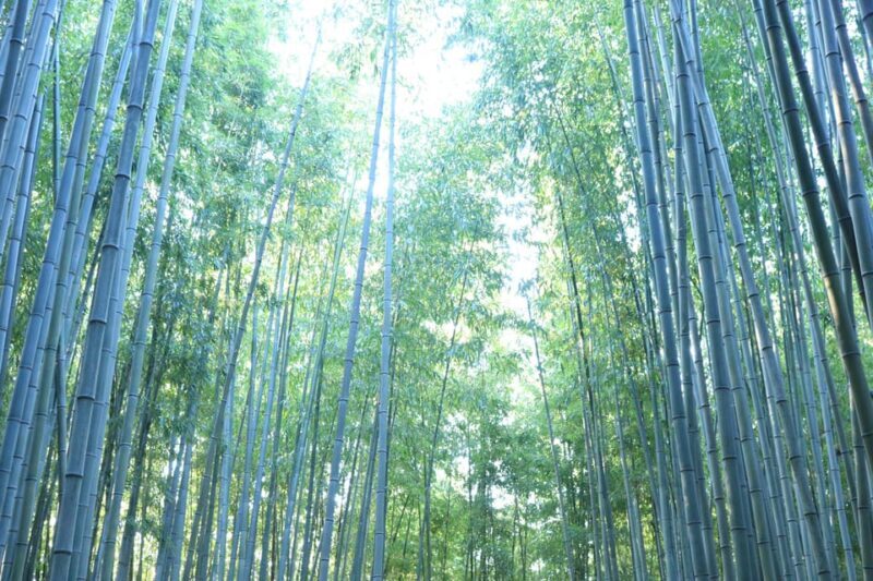 customized private Busan tour with licensed agency and guide - A Deep Dive into the Busan Private Tour