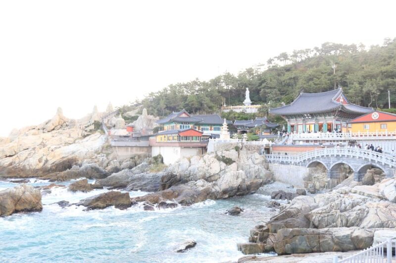customized private Busan tour with licensed agency and guide - Who Should Consider This Tour?
