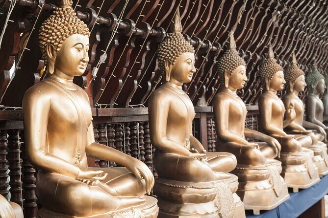 Customized Private Colombo City Tour with Local Insights - FAQ