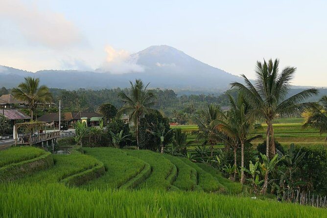 Customized Private Day Trip: Create your own tour itinerary - Who Should Book This Tour?