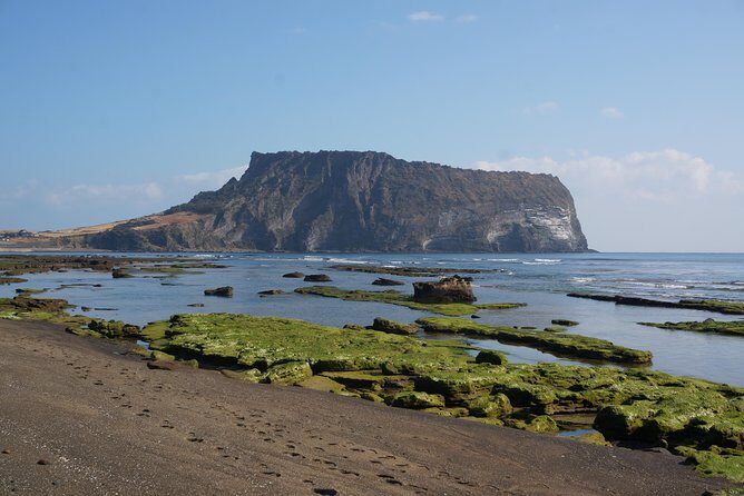 Customized Private JEJU Hiking Tour for 7 days (Mt. Hallasan and Olle Course) - Who This Tour is Best For