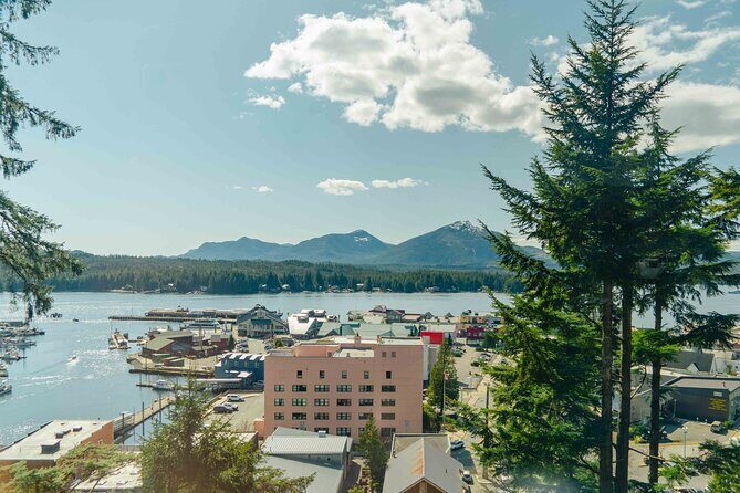 Customized Private Tour in Minibus - Value and Considerations