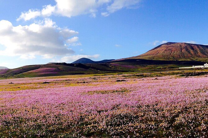 Customized Private Tours of Lanzarote island - A Detailed Look at the Lanzarote Private Tour