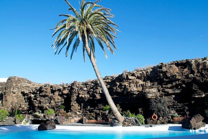 Customized Private Tours of Lanzarote island - Final Thoughts: Who Is This Tour For?