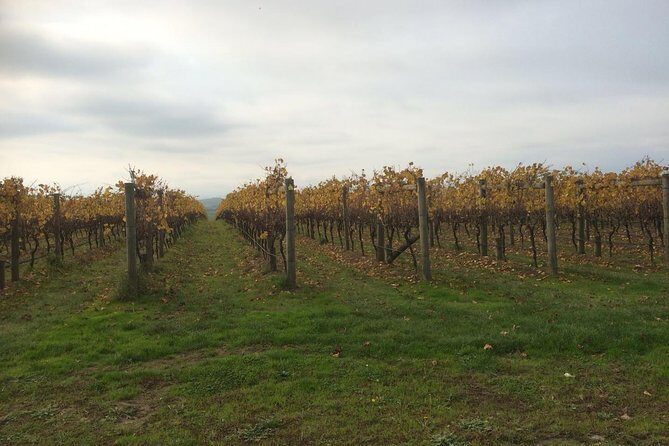 Customized private winery day tour in Mornington Peninsula at your own choices - The Experience: What You Can Expect