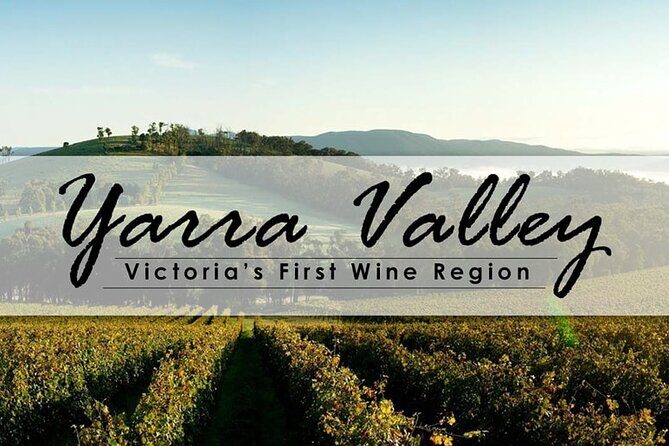 Customized private winery day tour in Yarra Valley at your own choices - An In-Depth Look at the Experience
