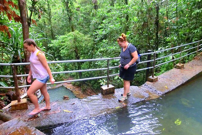 Customized Suva day tour - An In-Depth Look at What This Tour Offers
