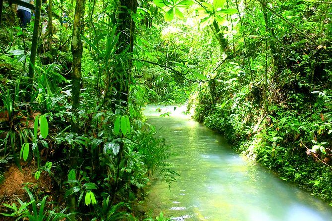 Customized Suva day tour - FAQ