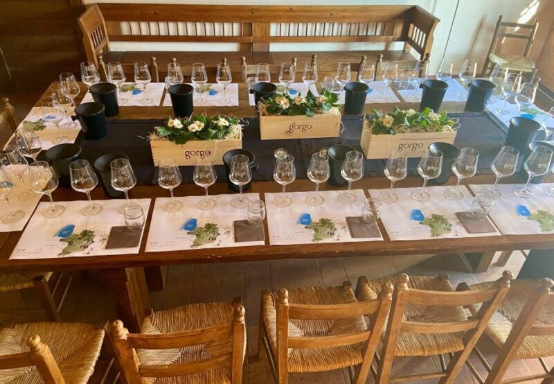 Custoza: Organic Wine Tasting with Vineyard and Cellar Tour - An In-Depth Look at the Experience