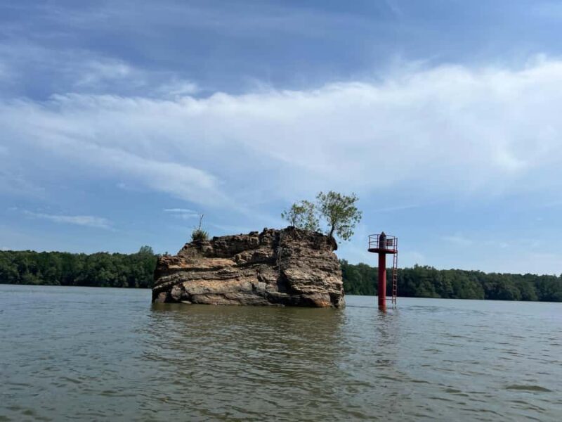 Cuti Brunei Muara Wildlife Cruise - Who Would Enjoy This Tour?