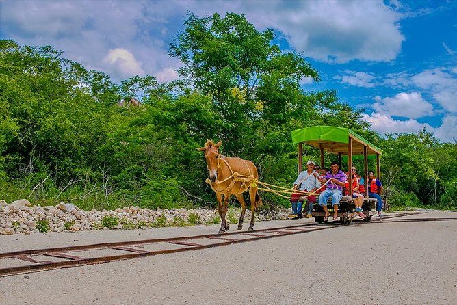 Cuzama Cenotes Adventure Day Trip - An In-Depth Look at the Tour Experience