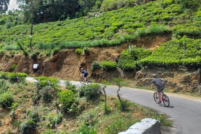 Cycle from Adam's Peak to Kithulgala and go white water rafting - The Scenery and Atmosphere During Cycling