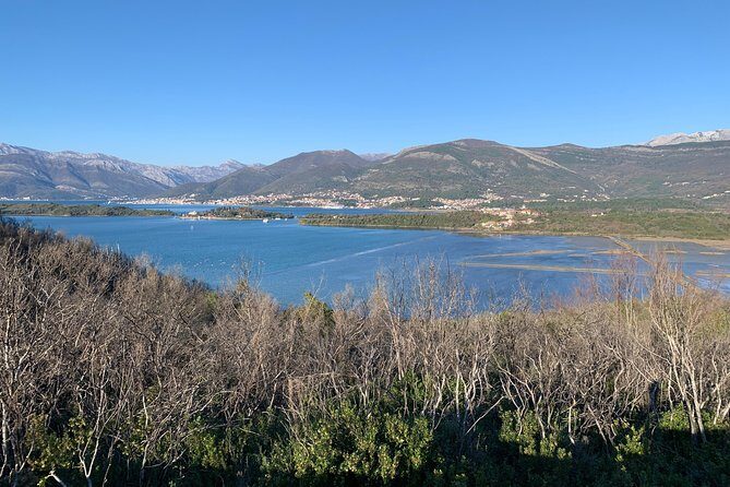 Cycle & SUP: A Complete Circumnavigation of Kotor Bay (new tour) - What Travelers Say: Authentic Perspectives