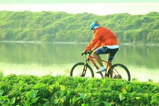 Cycle the Kolkata Wetlands and Amazing Views - The Setting: A Hidden Corner of Kolkata