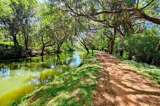 Cycle through 2000 years of sacred history and culture  Anuradhapura - The Sum Up