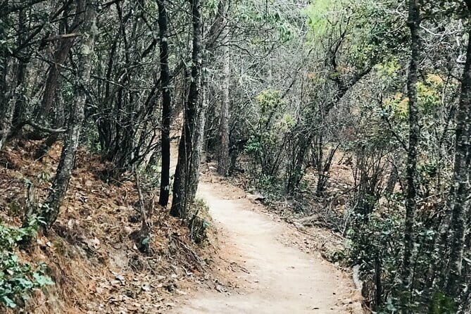 Cycling Across The Thimphu Valley - Who Should Consider This Tour?