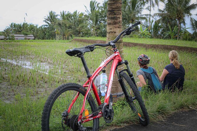 Cycling Adventure in Bali - Key Points