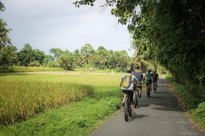 Cycling Adventure in Bali - FAQs
