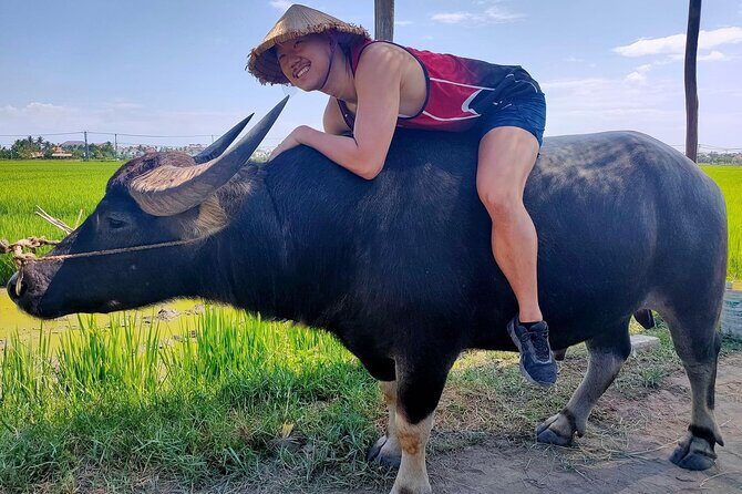 Cycling, Buffalo Ride and Basket Boat Tour in Hoi An - The Sum Up
