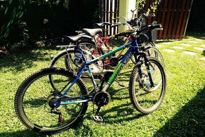 Cycling in Bentota Countryside - The Itinerary: What to Expect at Each Stop