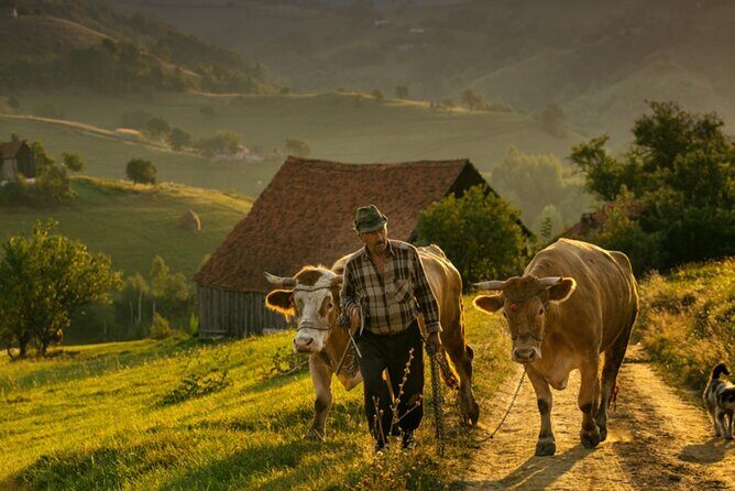 Cycling in Transylvania - Key Points
