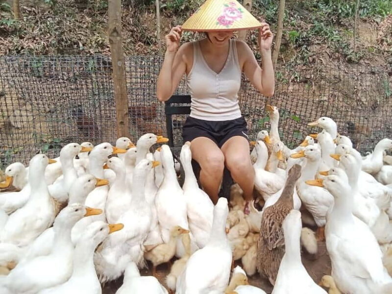 Cycling Through Countryside and Cooking Class in Duck Stop - Final Thoughts