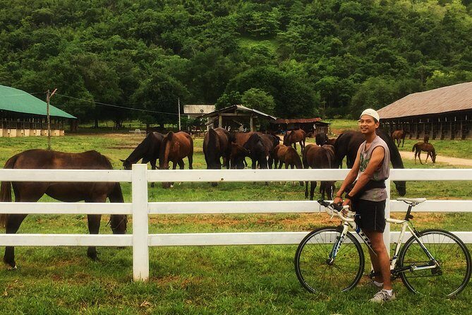 Cycling to visit Local Experience and Learn Culture with Local expert - Exploring the Full Experience: What You Can Expect