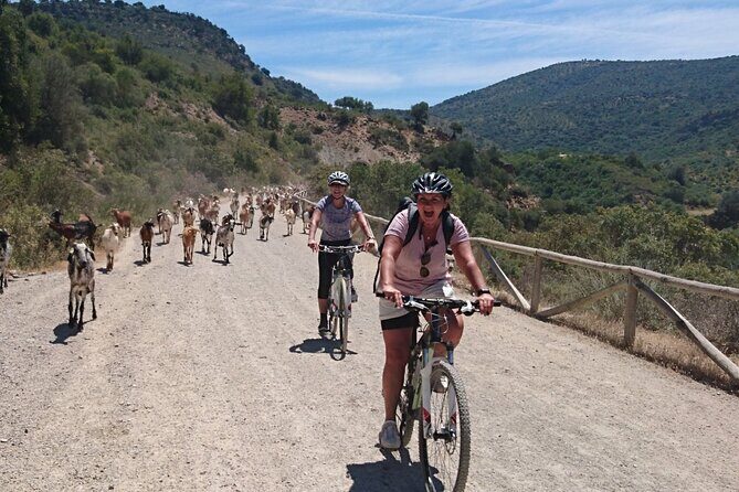 Cycling - Via Verde de la Sierra - 36km - Easy Level - Final Thoughts: Who Will Love This Tour?