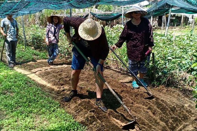 Cycling, Visiting An Organic Farm, Farming, Basket Boat Riding. - FAQ