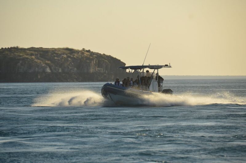 Cygnet Bay Island Explorer Scenic Cruise Experience - Starting Point and Transportation