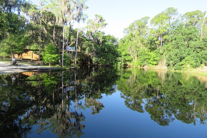 Cypress Forest: Guided Nature Kayak Eco-Tour - An In-Depth Look at the Tour Experience