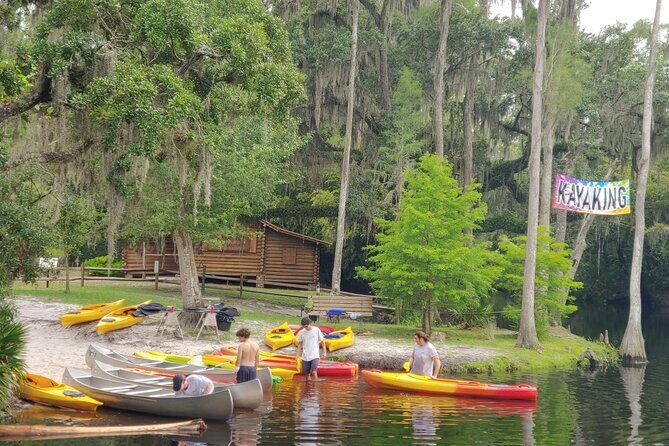 Cypress Forest: Guided Nature Kayak Eco-Tour - The Sum Up