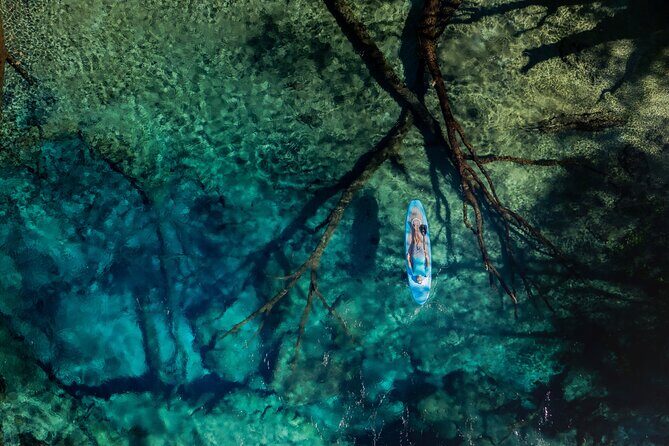 Cypress Springs Eco Adventure - Introduction: Exploring the Hidden Beauty of Cypress Springs